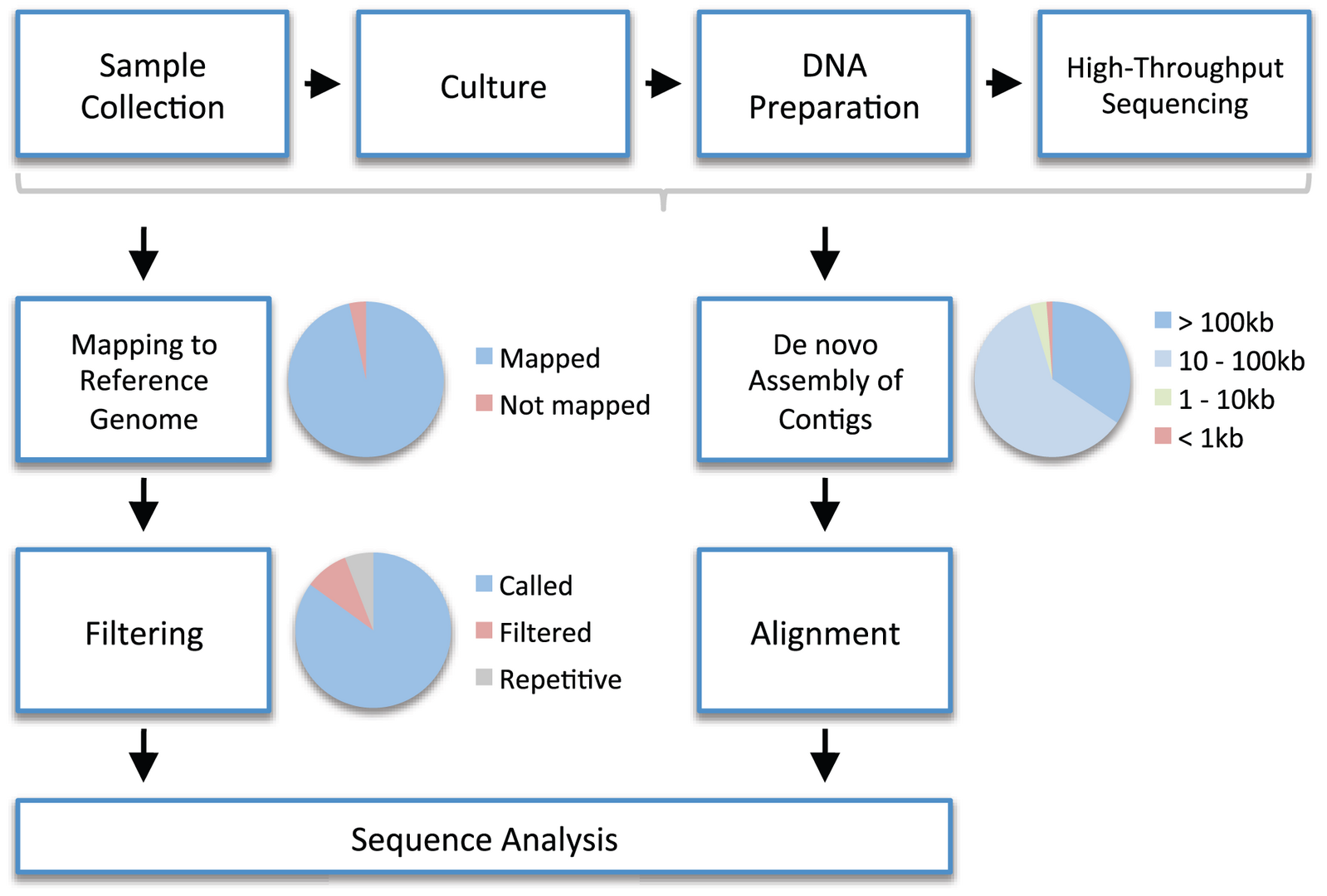 Insights From Genomics Into Bacterial Pathogen Populations Prolékaře Cz
