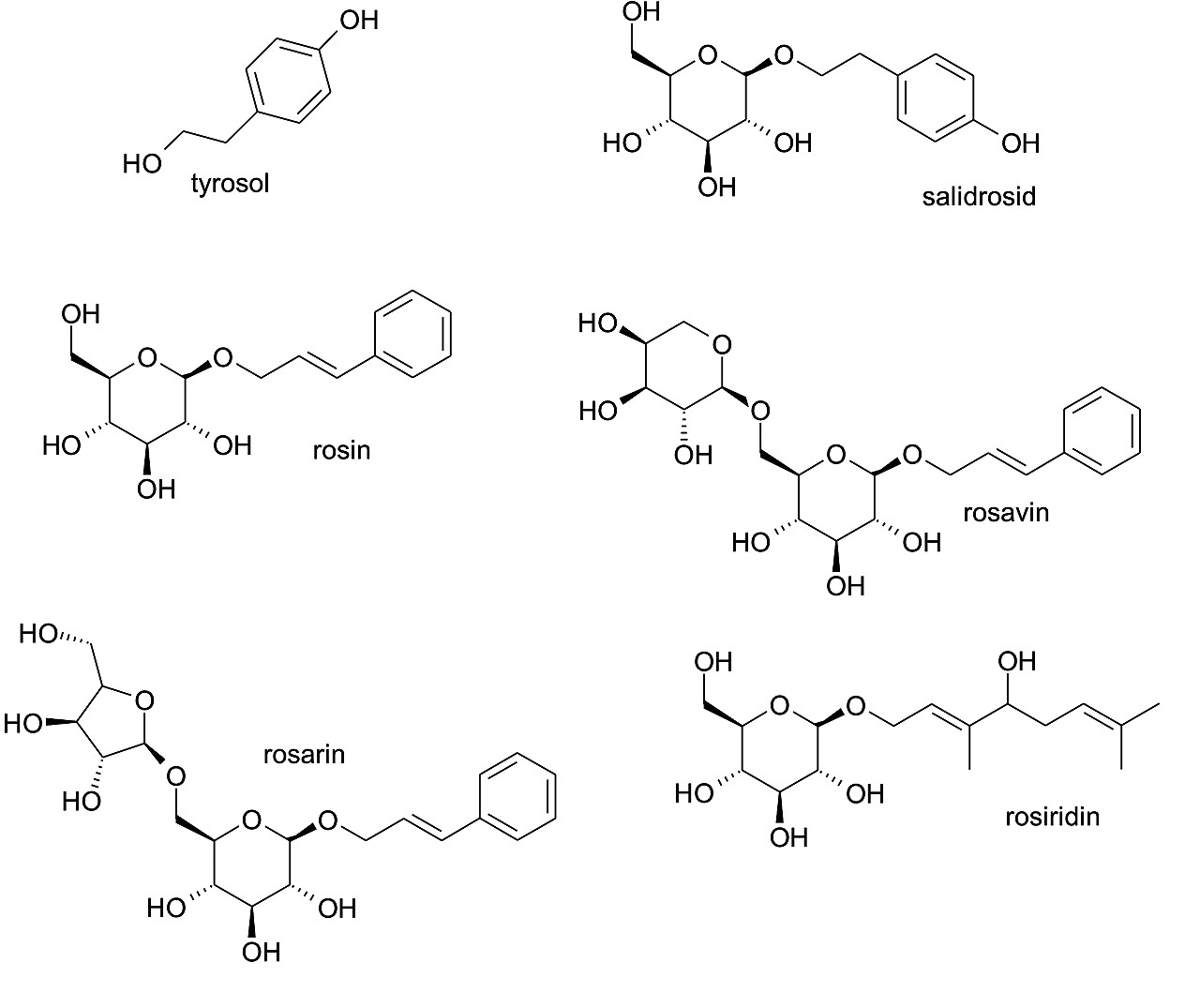 Rozchodnice růžová a její neuropsychotropní účinky | proLékaře.cz