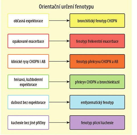 CHOPN – novinky v diagnostice a léčbě | proLékaře.cz